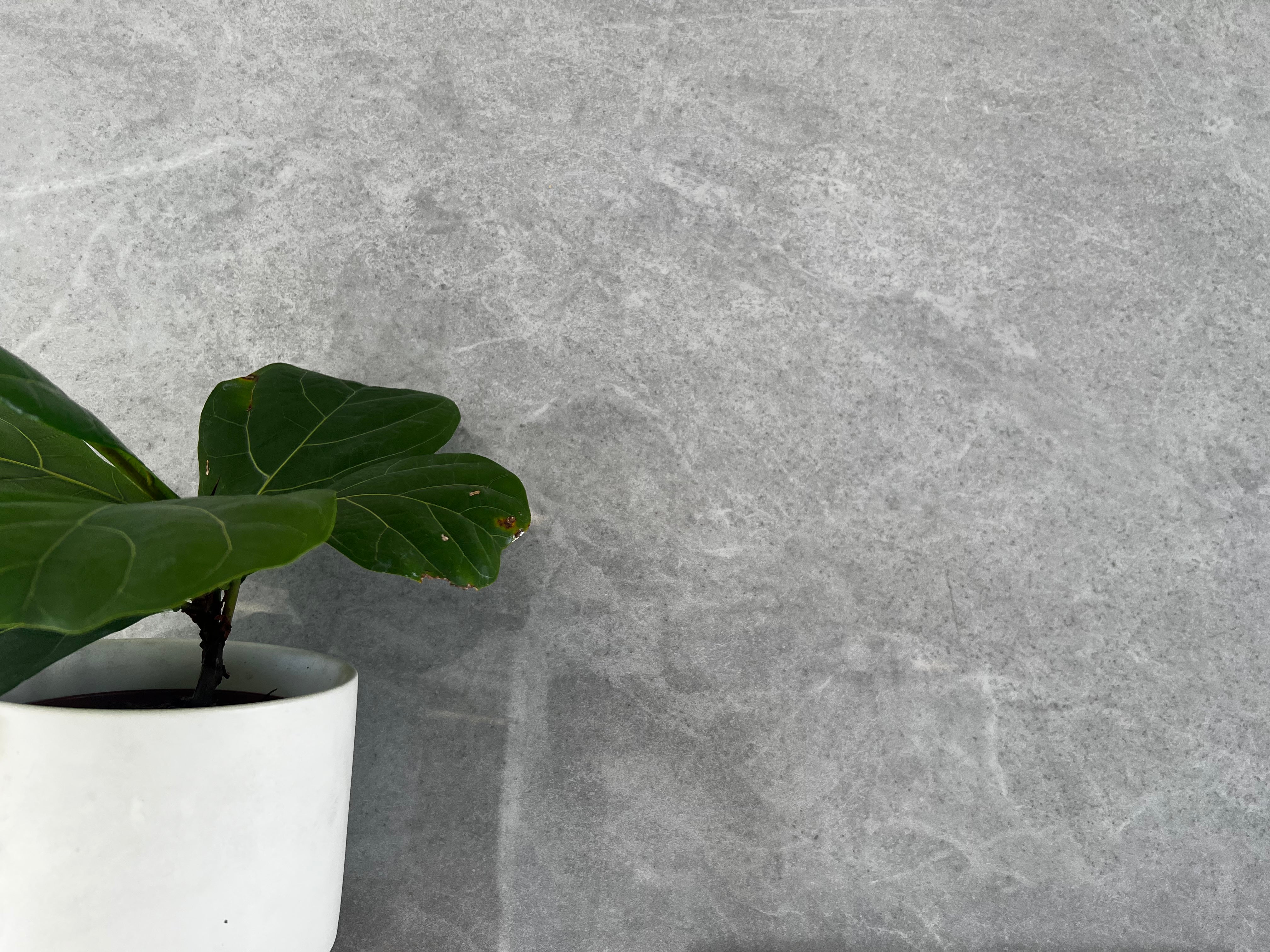 Shop by Style – trendceramics