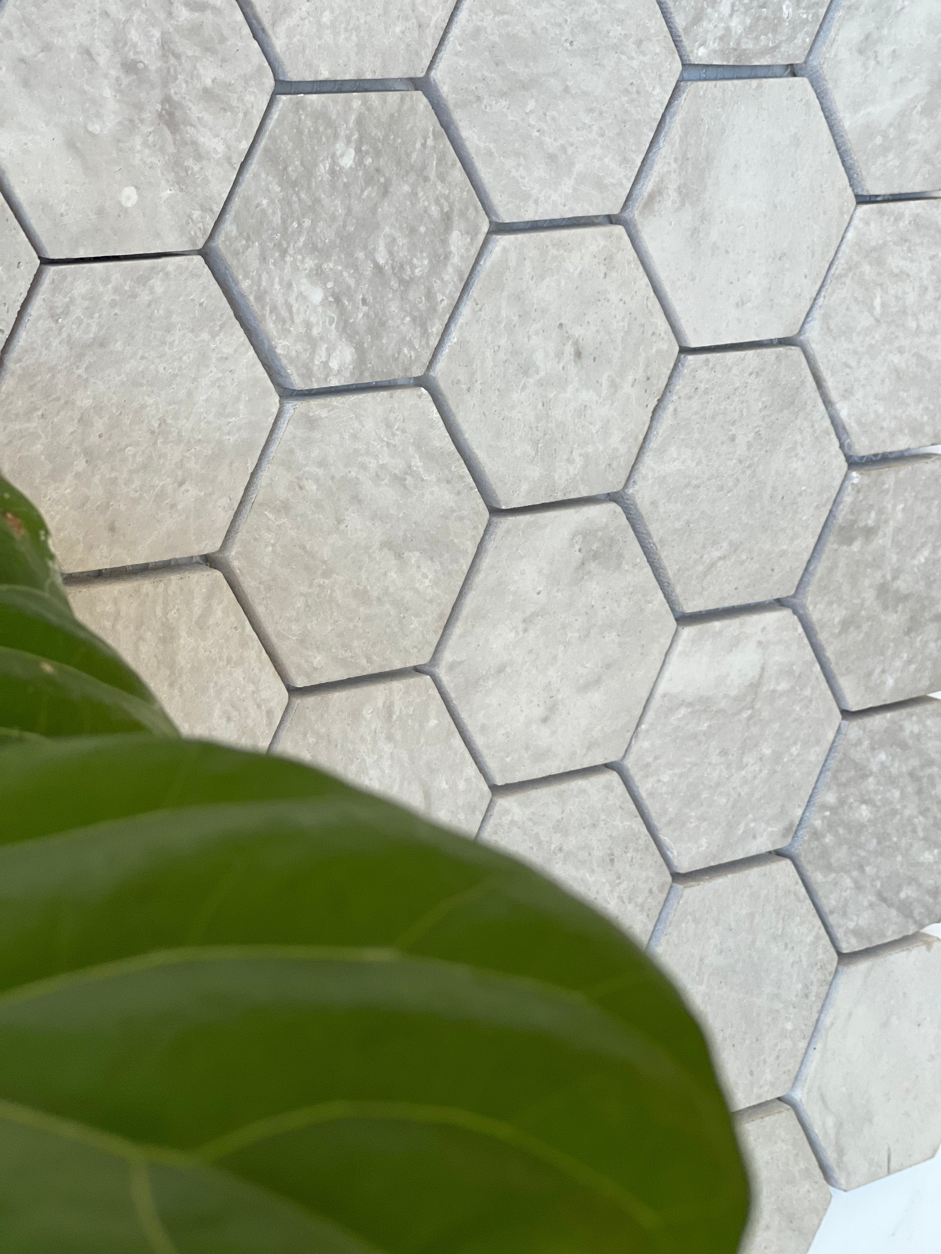 298X303 HEX 48MM SILVER GREY POL – trendceramics